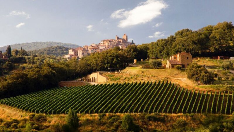 Private Chianti Tour and Wine Tasting - Exploring Tuscany’s Landscape and Heritage