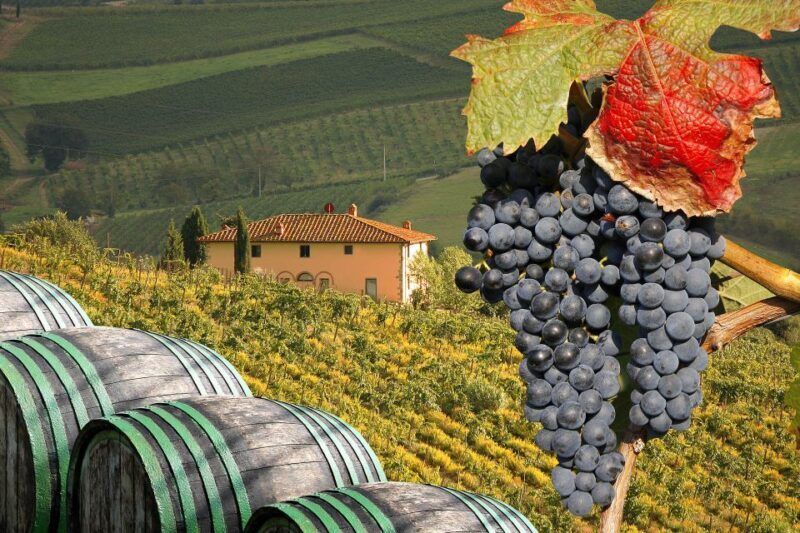 Private Chianti Tour and Wine Tasting - Final Thoughts: Who Will Love This Tour?