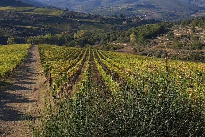 Private Chianti Wine Day Experience From Tuscany - Deep Dive Into the Experience: Why It Works