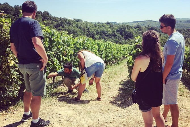 Private Chianti Wine Tour - The Sum Up