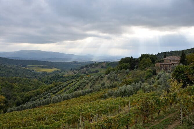 Private Chianti wine tour - In-Depth Look at the Experience