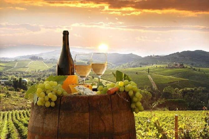Private Chianti wine tour leaving from Florence - Introduction