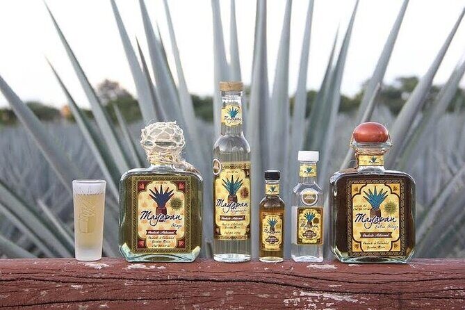 Private Chichen Itza, Cenote, Tequila Factory and Valladolid Tour - Final Thoughts