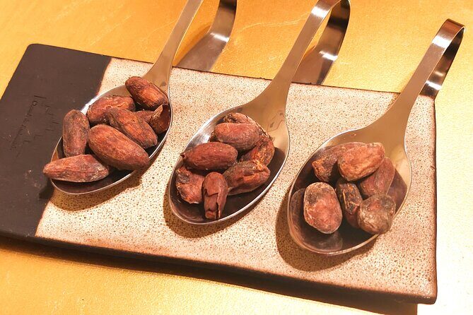 Private Chocolate Experience in Ghent - Who Will Get the Most Out of This Tour?