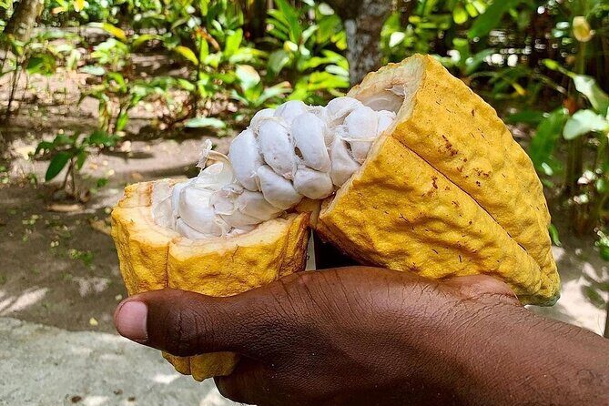 Private Chocolate Making Class - FAQ