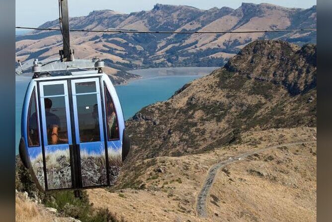 Private Christchurch City Full Day Tour - The Sum Up
