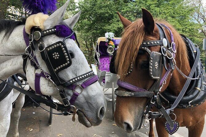 Private Christmas Lights Horse Carriage Tour In New York City - Key Points