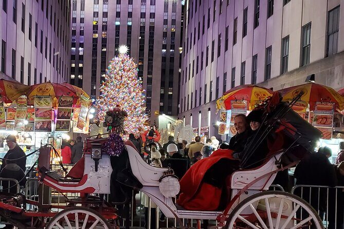 Private Christmas Lights Horse Carriage Tour In New York City - Analyzing the Value