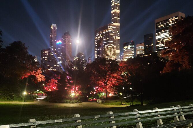 Private Christmas Lights Horse Carriage Tour In New York City - Who Should Consider This Tour?