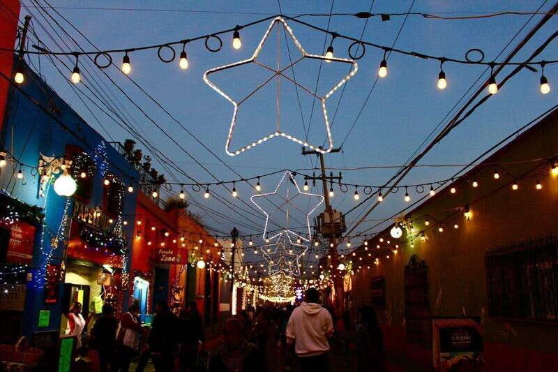 Private Christmas Walking Tour in Cabo San Lucas - Practical Details