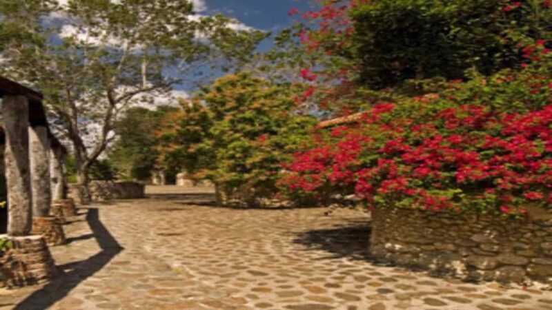 Private: Cigar Tour, Altos de Chavón, and Maravillas Caves - Key Points