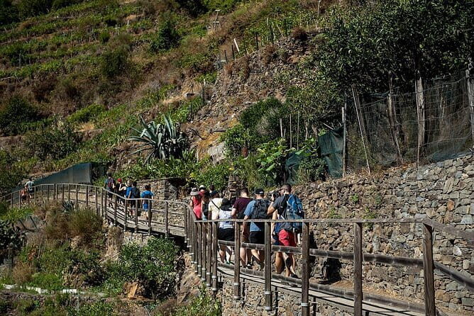 Private Cinque Terre Day Trip from Florence with Optional Hiking - Who Should Consider This Tour?