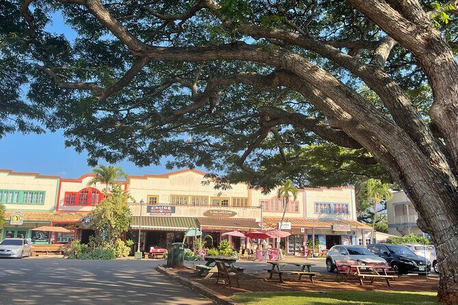 Private Circle Island Tour North Shore and East Side - The Sum Up: Is It Worth It?