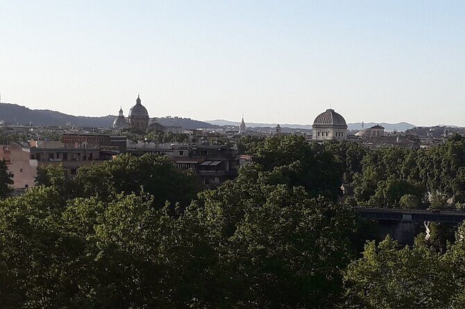 Private Circus Maximus and Aventine Keyhole Tour - Who Is This Tour Best For?