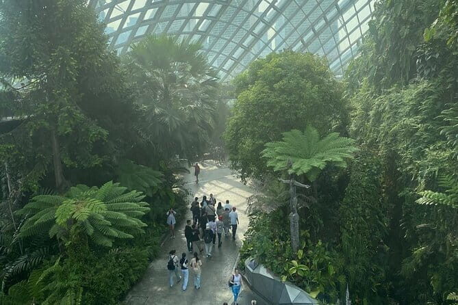 Private City Car Tour Singapore (4 Hours or 8 Hours) - Comfort, Convenience, and Value