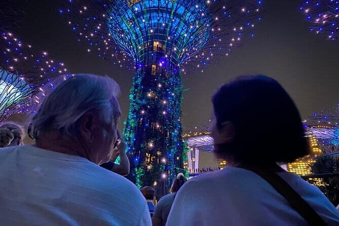 Private City Car Tour Singapore (4 Hours or 8 Hours) - The Bottom Line