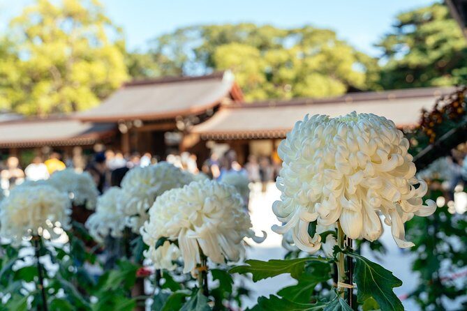 Private City Kickstart Tour: Tokyo - What Travelers Say