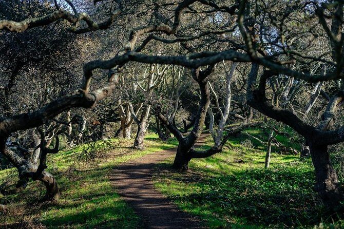 Private City Kickstart Tour:The Castro & Mission District - FAQs
