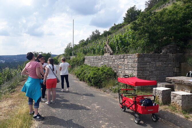 Private city rally in Würzburg including wine tasting - The Itinerary: What to Expect During Your Würzburg Adventure