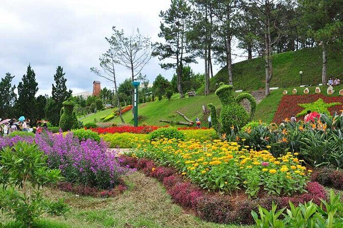 Private City Tour in Dalat - A Deep Dive into the Dalat Experience