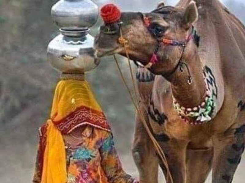 Private City Tour Of Jaipur From Delhi By Car - Key Points