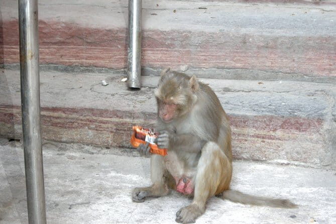 Private City Tour of Old Delhi With Rickshaw Ride - FAQ