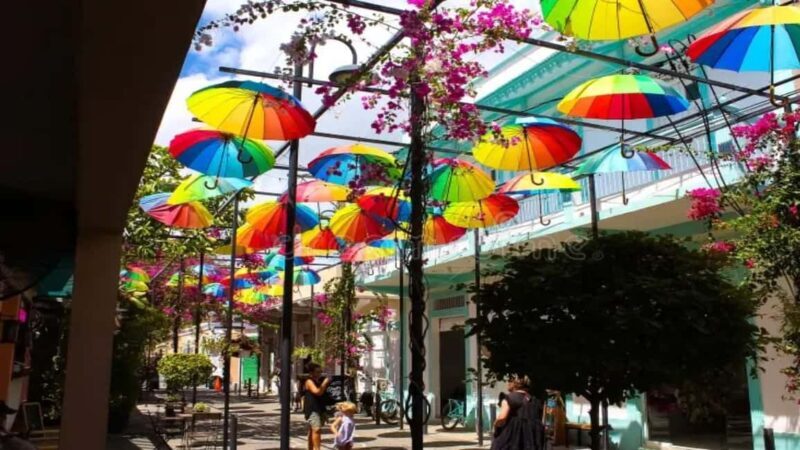 Private: City Tour with Lunch, Rum, and Chocolate - Shopping and Souvenirs