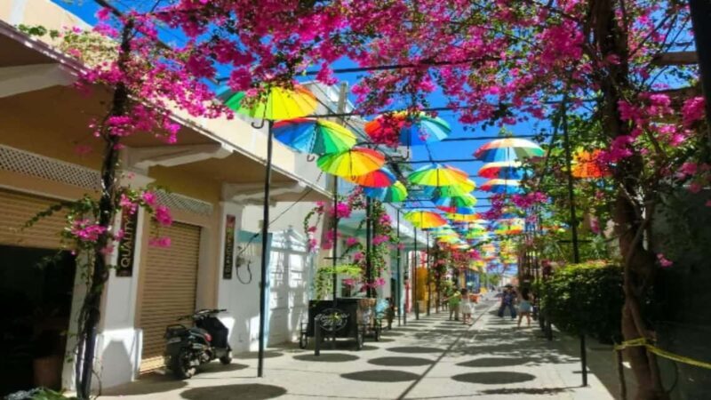 Private: City Tour with Lunch, Rum, and Chocolate - FAQ