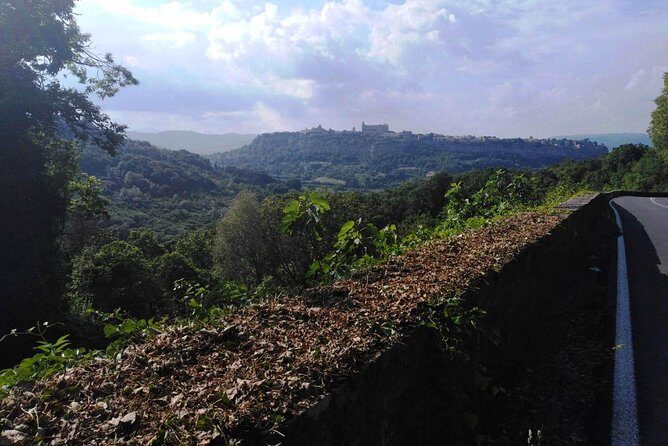 PRIVATE Civita di Bagnoregio and Orvieto Wine Tasting -Ebike tour - Who Will Love This Tour?