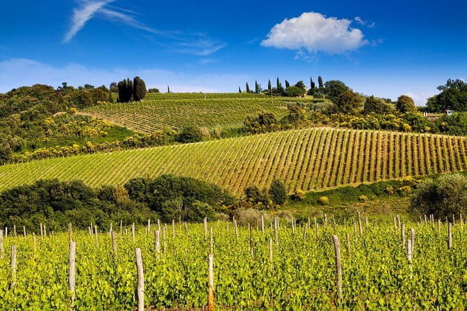 Private Classic Wine Tour in Chianti from Florence - Key Points