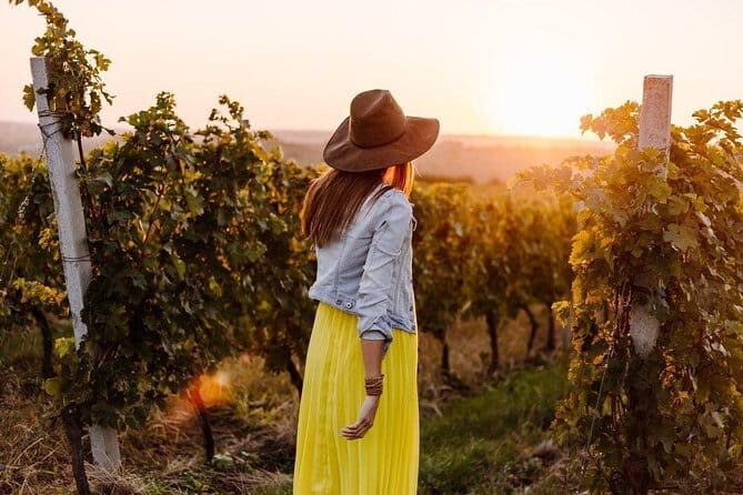 Private Classic Wine Tour in Chianti from Florence - An In-Depth Look at the Chianti Private Wine Tour