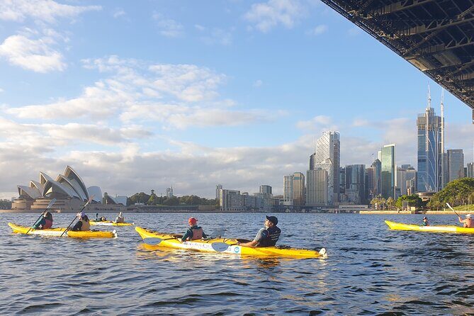 Private Classic Wooden Speedboat Sydney Harbour Cruise - What Participants Say and Why It Matters