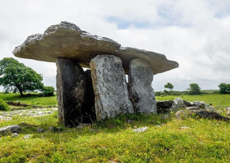 Private Cliffs of Moher Day Tour - Who Should Book This Tour?