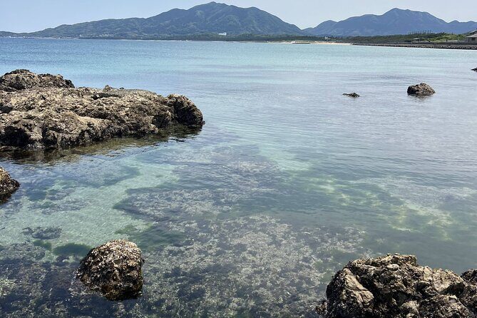 Private Coastline Ebike Tour in Fukuoka - An Authentic Day Along Japan’s Sea Coast