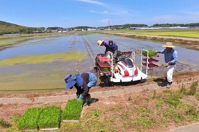 Private Coastline Ebike Tour in Fukuoka - Final Thoughts: Is This Tour Right for You?