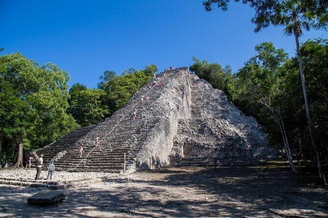 Private Coba Ruins, Cenote Swim and Tacos Lunch Tour - Why Choose This Tour?