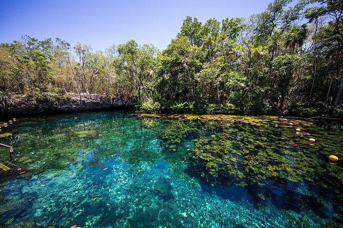 Private Coba & Zipline, Rappel and Cenote Snorkeling - Final Thoughts