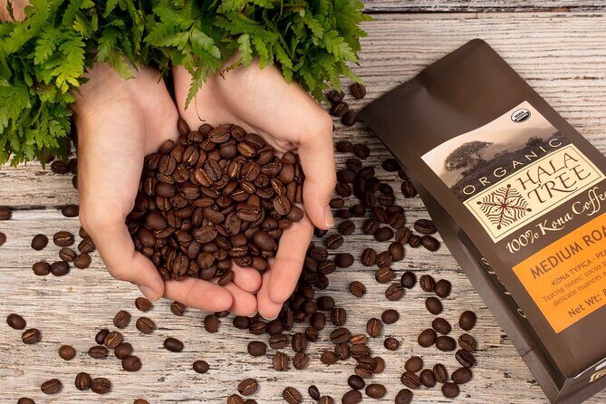 Private Coffee Roasting Class - A Hands-On Coffee Adventure in Kona