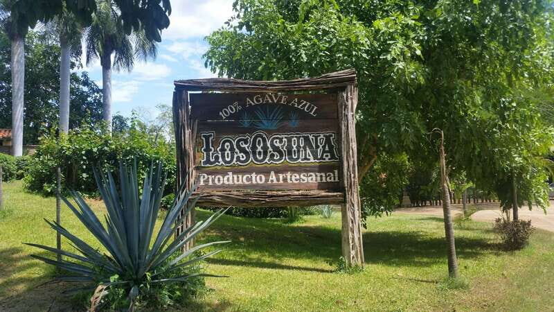 Private Colonial Tour Tequila and the Noria - What Travelers Are Saying