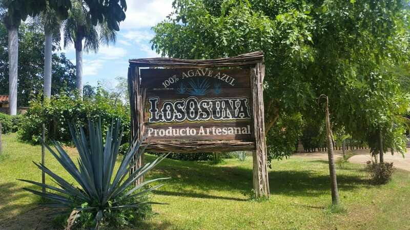 Private Colonial Tour Tequila and the Noria - The Transportation Experience