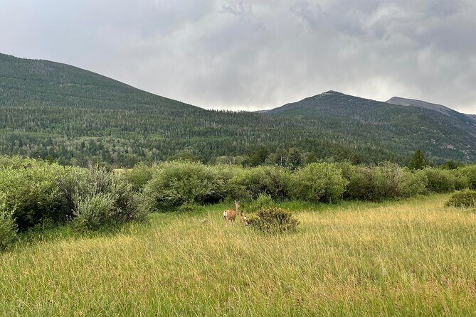 Private Colorado Springs City Tour from Denver - Authentic Perspectives from Travelers