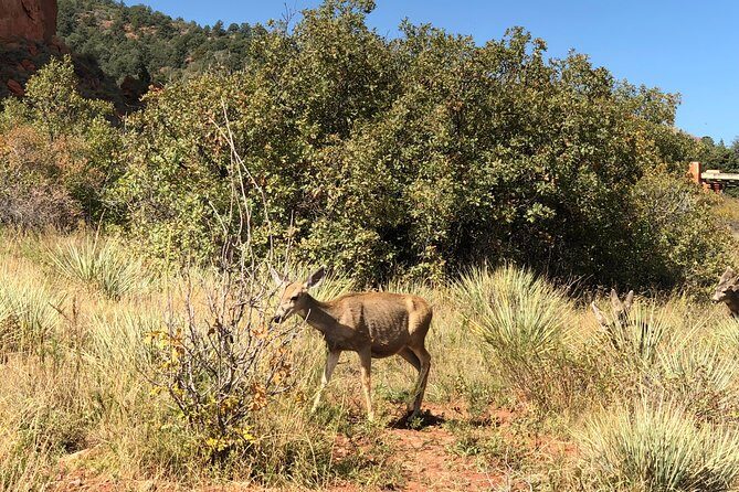 Private Colorado Springs Tour: Garden of the Gods and Pikes Peak - Frequently Asked Questions