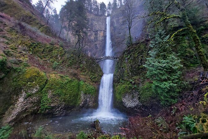Private Columbia River Gorge Half-Day Tour - A Scenic Escape in the Heart of the Pacific Northwest