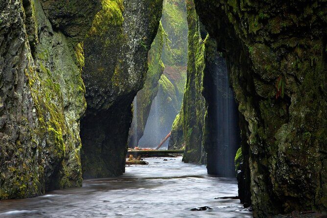 Private Columbia River Gorge Half-Day Tour - What to Expect and Why It Matters