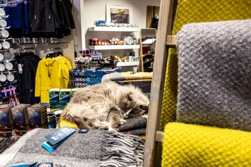 Private Combo Reykjavik Folklore & CatWalk - The Practical Details
