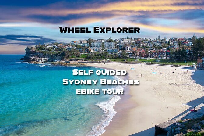 Private Coogee to Bondi Walk from your city hotel - Detailed Breakdown of the Itinerary