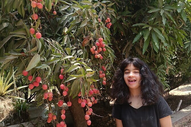 Private Cooking Classes on a Farm in Bangalore City - Key Points