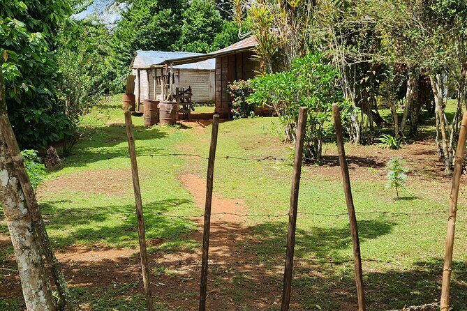 Private Countryside and City Tour in Puerto Plata - A Detailed Look at the Tour