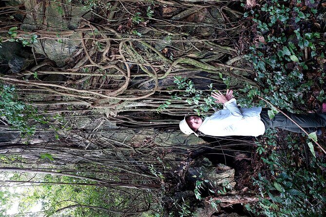 Private Countryside Tour & Pepper farm, Kep/Crab Market - Who Will Love This Tour?