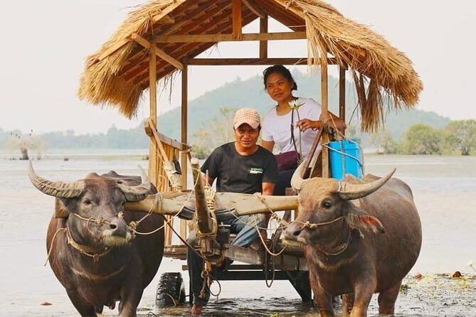 Private Countryside with Buffalo Cart tour - Half Day - Key Points